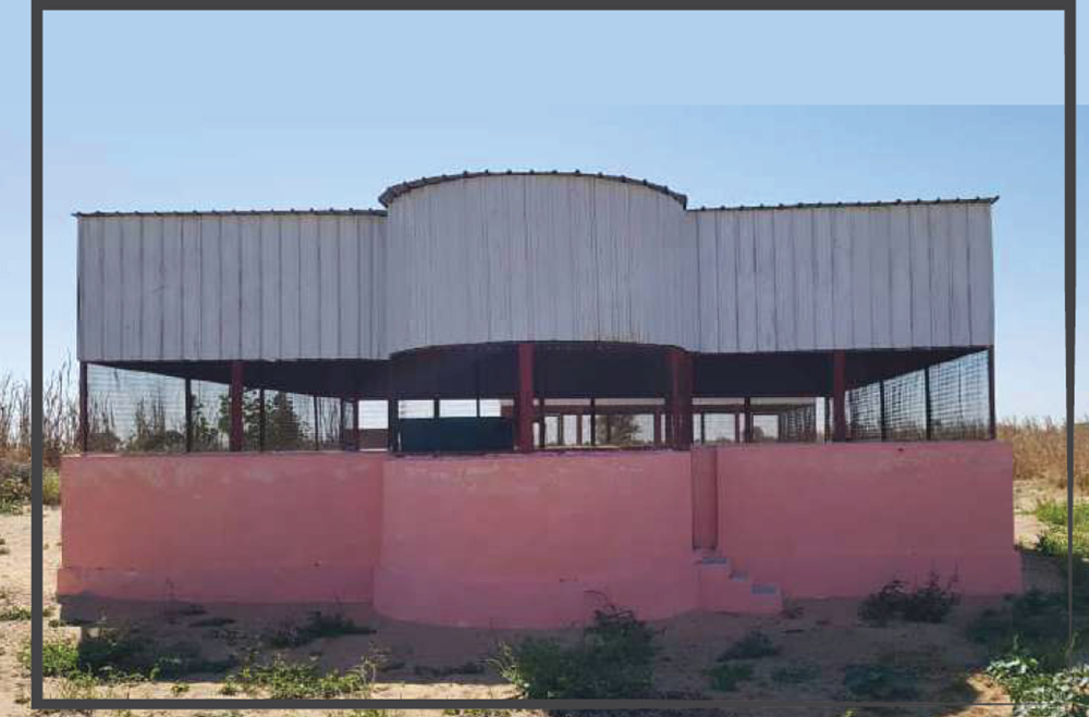 Construction of the Saif Salem Saif Al Falasi Mosque, may God have ...