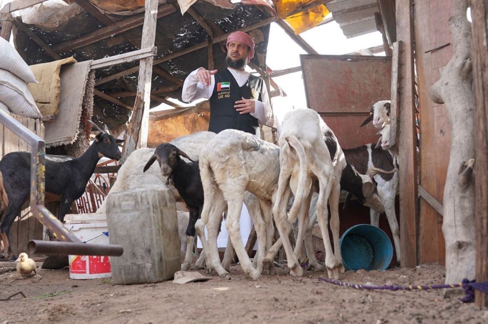 Owning sheep for needy families and orphans - International Charity ...