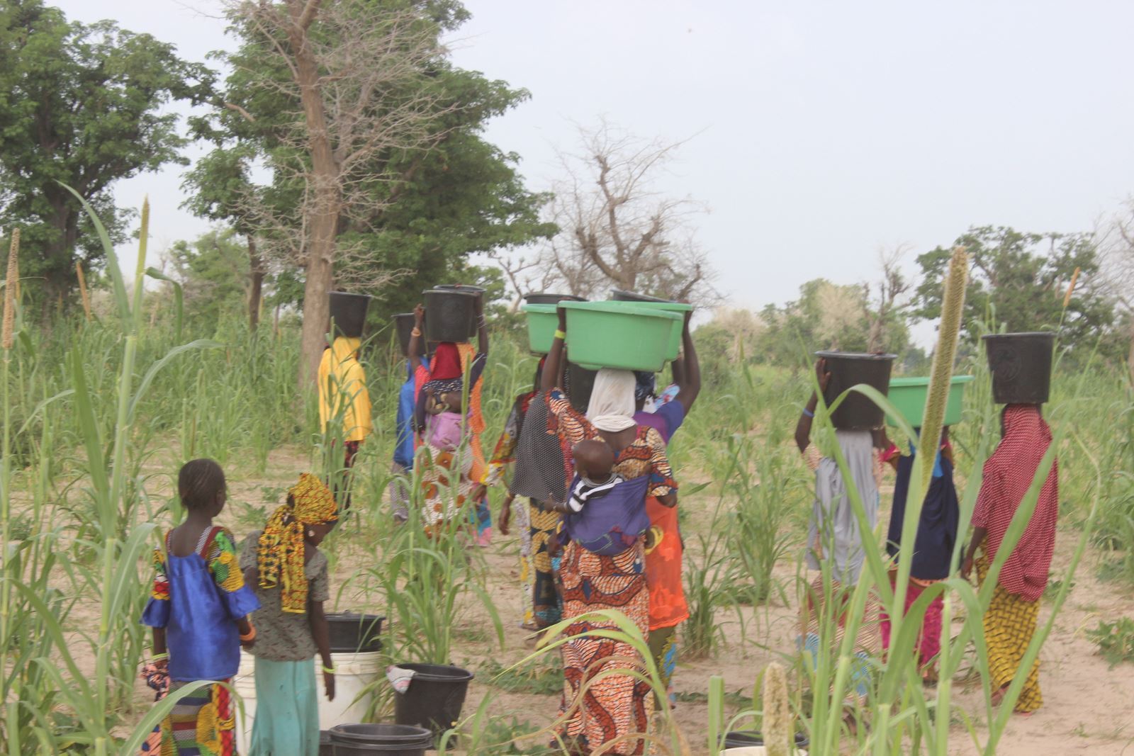 Rural/agricultural well with 15 meter solar powered pump ...